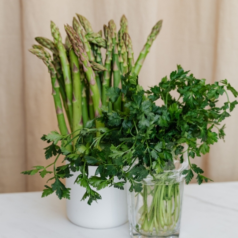 NGR Impex - Premium Food Products Import & Export