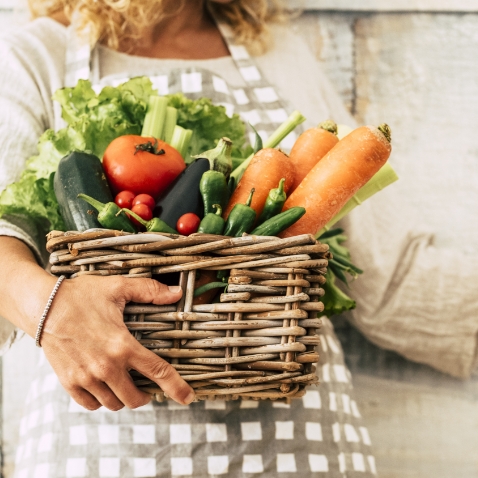 NGR Impex - Premium Food Products Import & Export