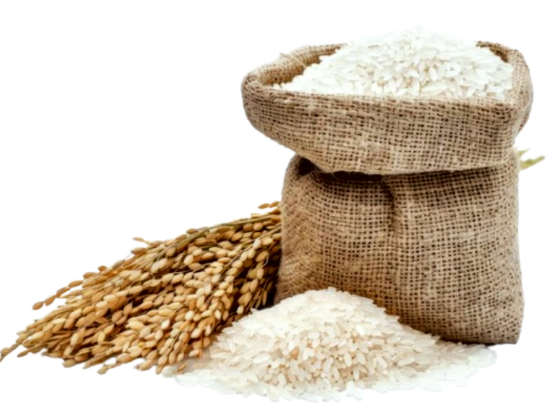 NGR Impex - Premium Food Products Import & Export