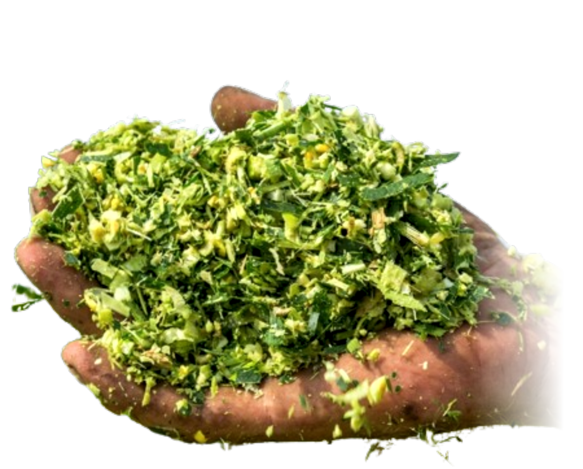 Silage Making - NGR Impex